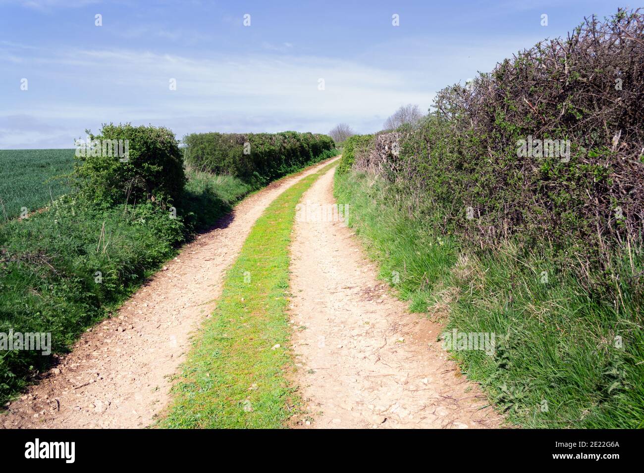 Walking in the countryside in England, a dirt path showing the way ...
