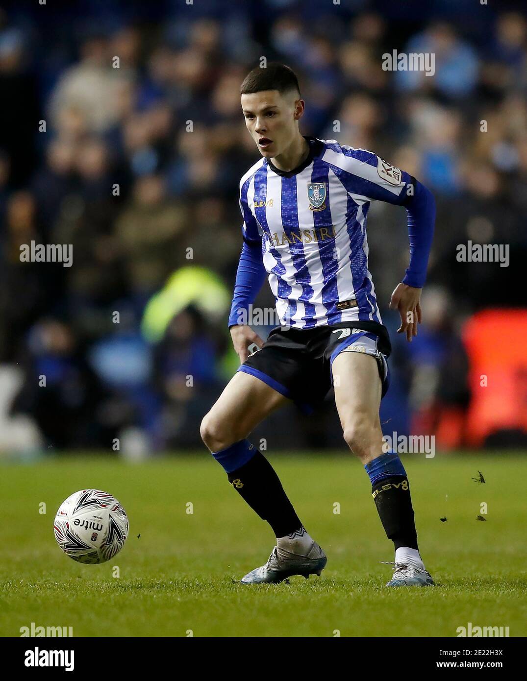 Sheffield Wednesday's Alex Hunt Stock Photo - Alamy