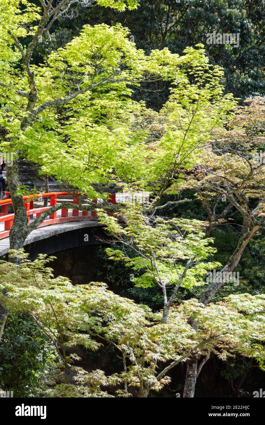 Bridge miyajima island japan hi-res stock photography and images - Alamy