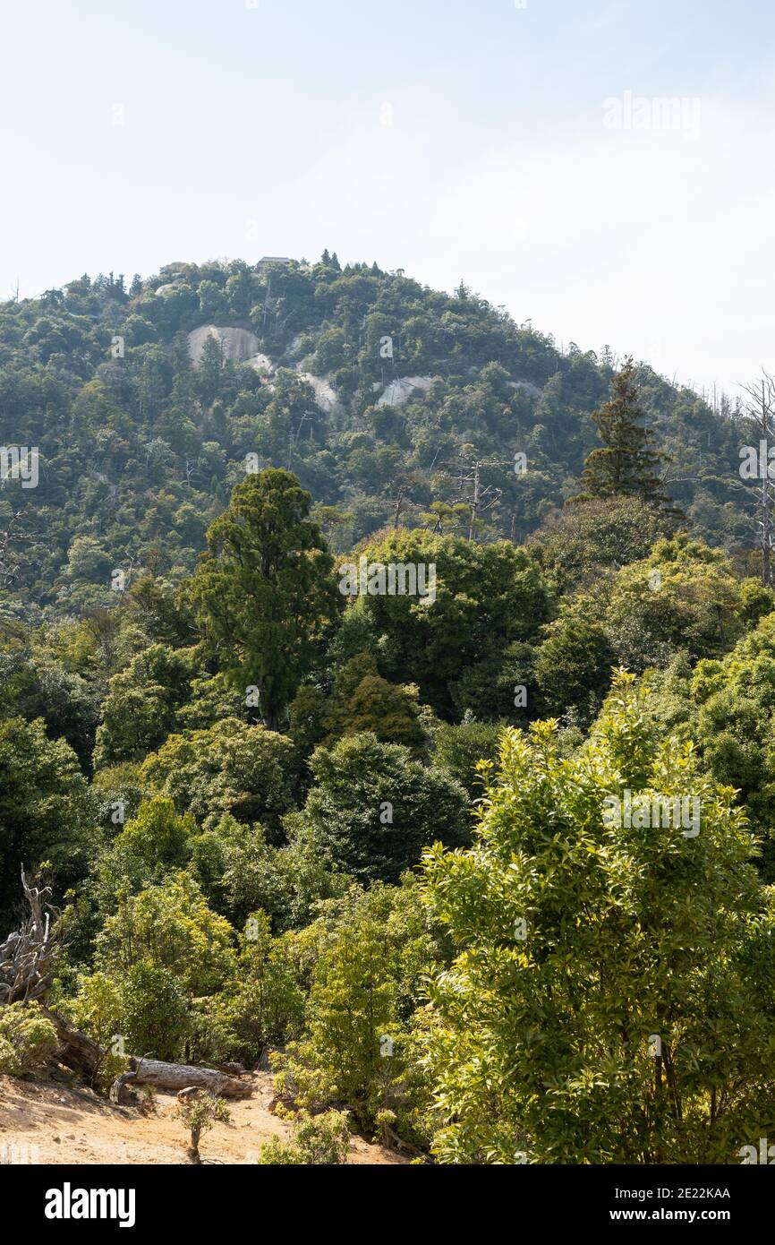 View from the top of the Miyajima Ropeway, Itsukushima (Miyajima ...