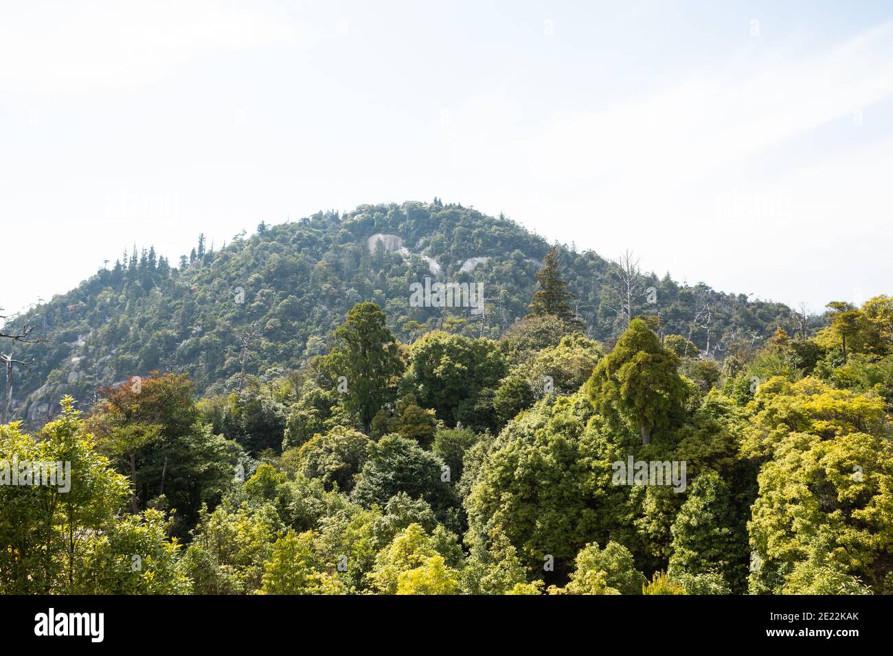View from the top of the Miyajima Ropeway, Itsukushima (Miyajima ...
