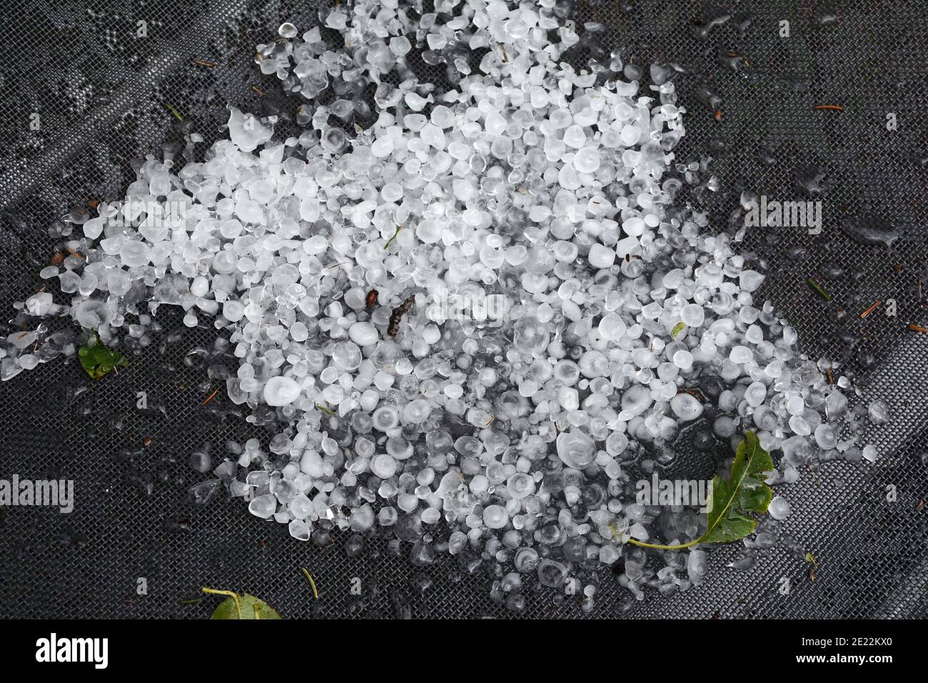 Hail after the storm. Hail background Stock Photo - Alamy