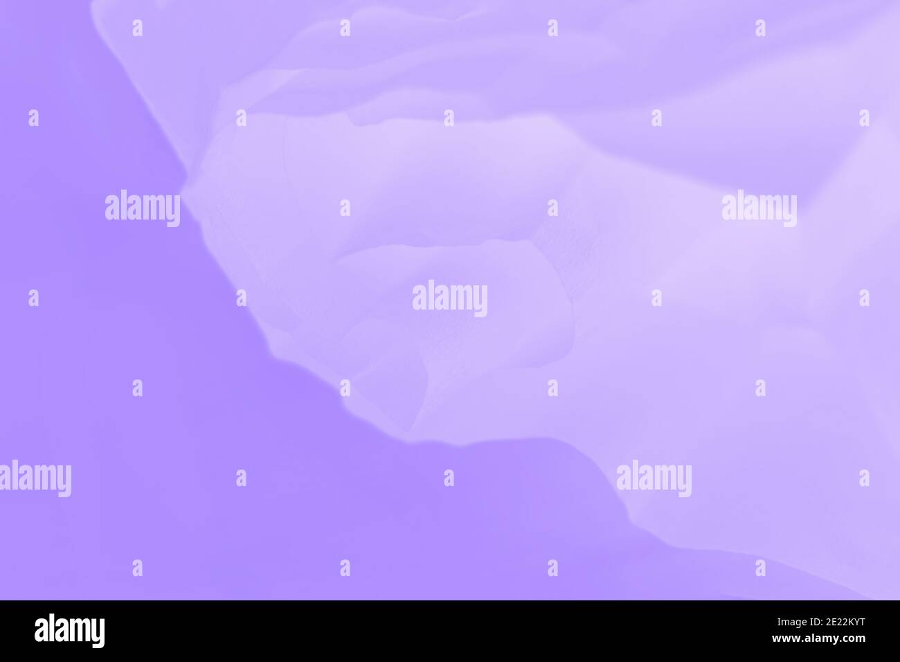 Violet fabric floving background, soft color Stock Photo - Alamy