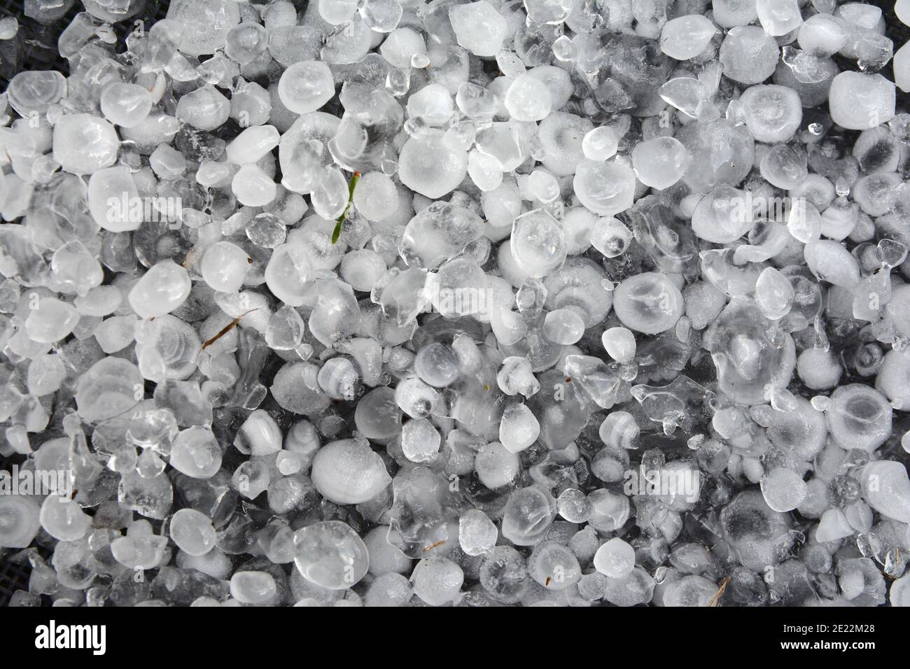 Hail after the storm. Hail background Stock Photo - Alamy