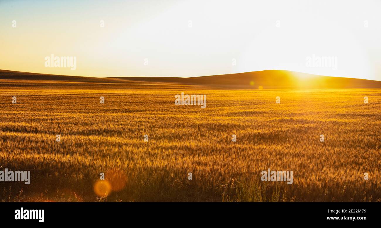 North Dakota Agriculture Stock Photo - Alamy