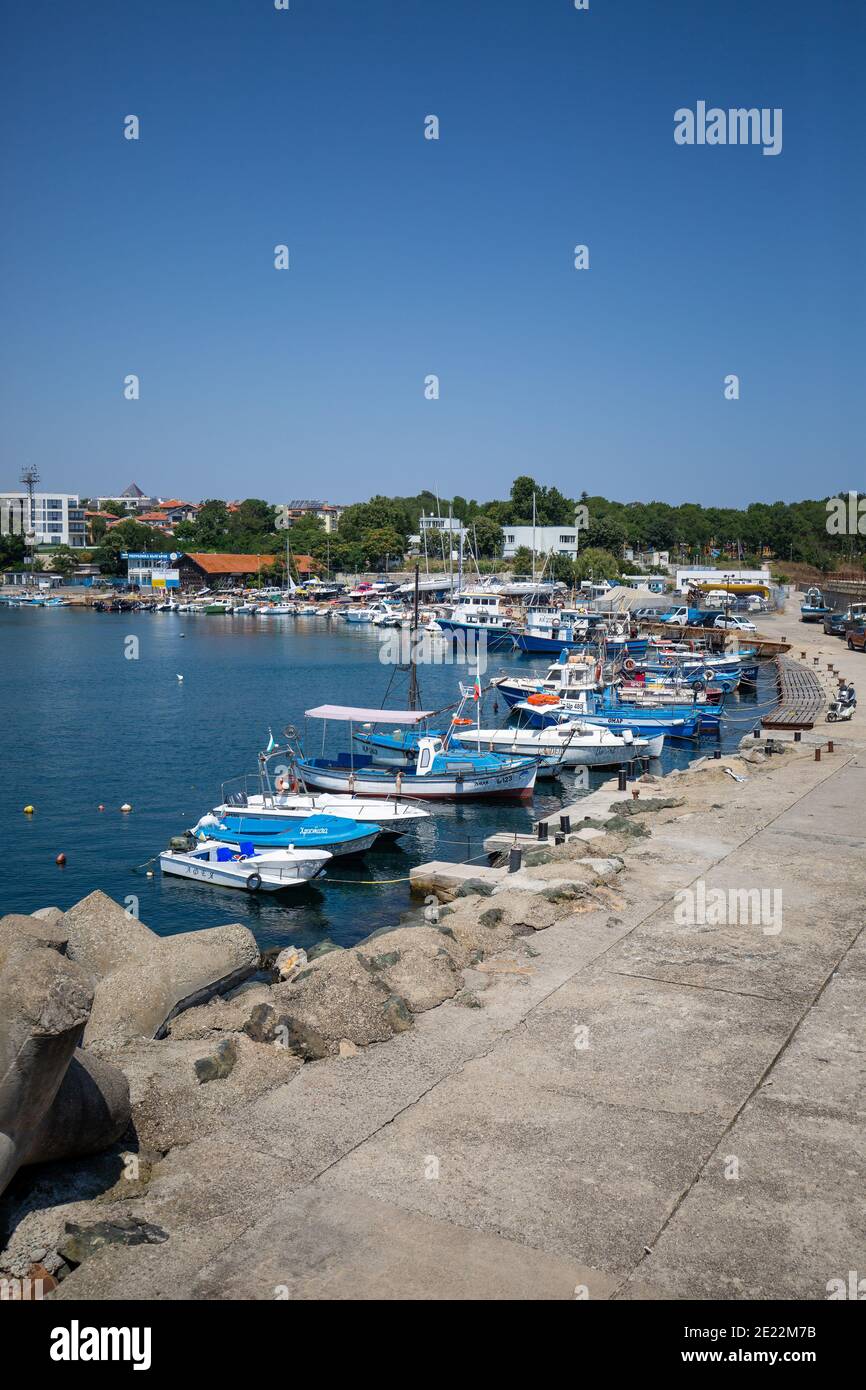 Vertical shot of a port near a street with trees and house buildings ...