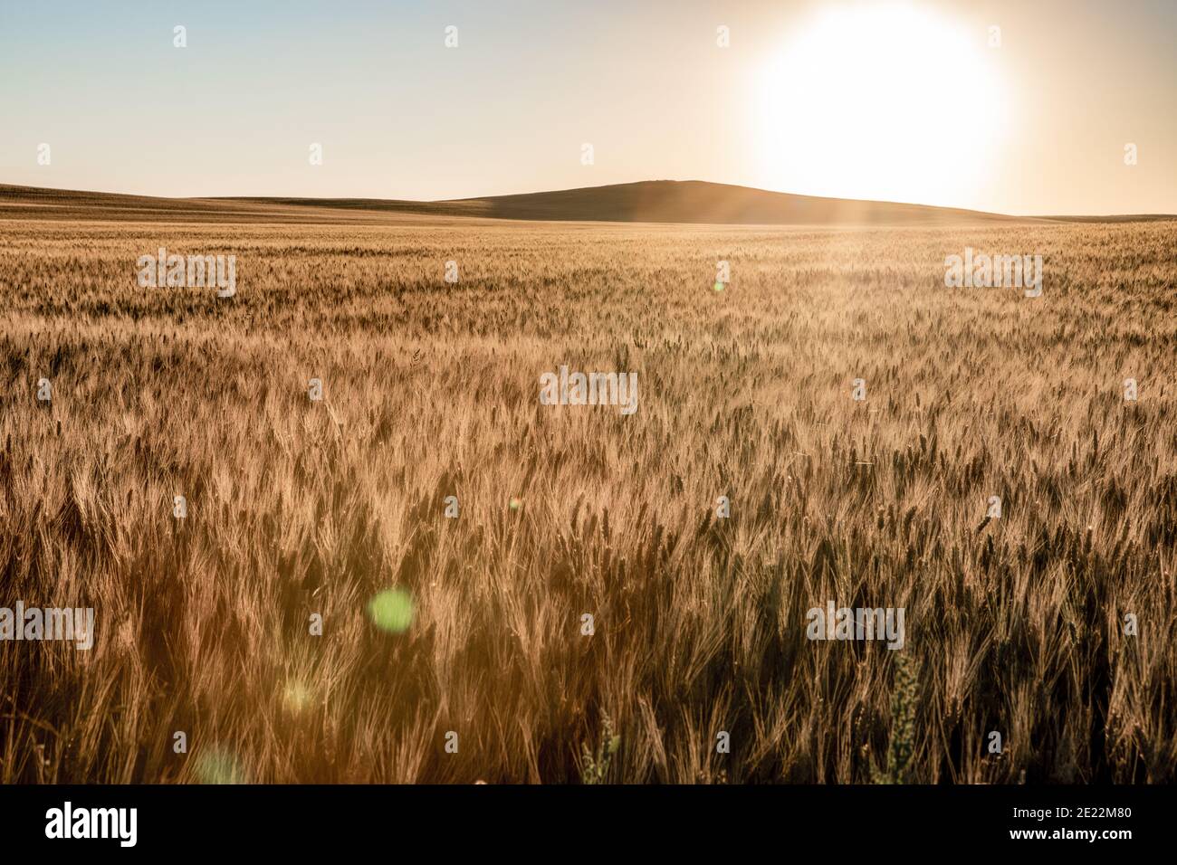 North Dakota Agriculture Stock Photo - Alamy