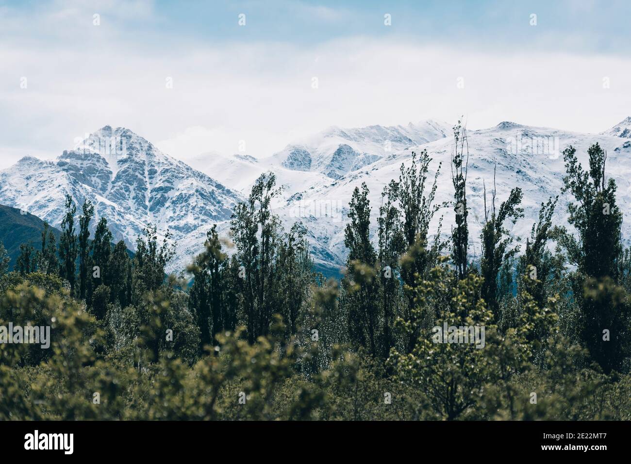 Scenic picture of Argentina, Mendoza in spring Stock Photo - Alamy