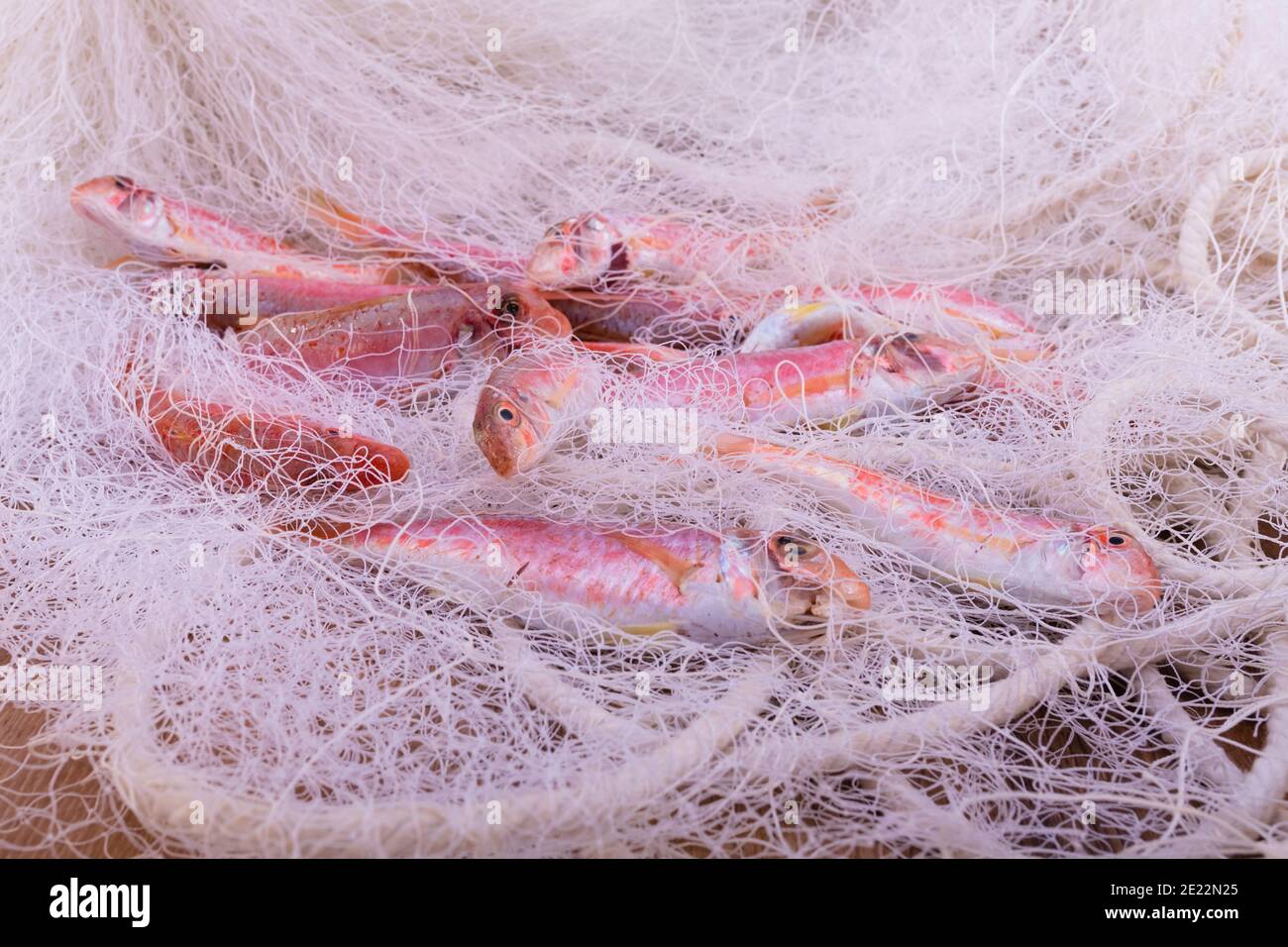 Background color fishing net hi-res stock photography and images - Alamy