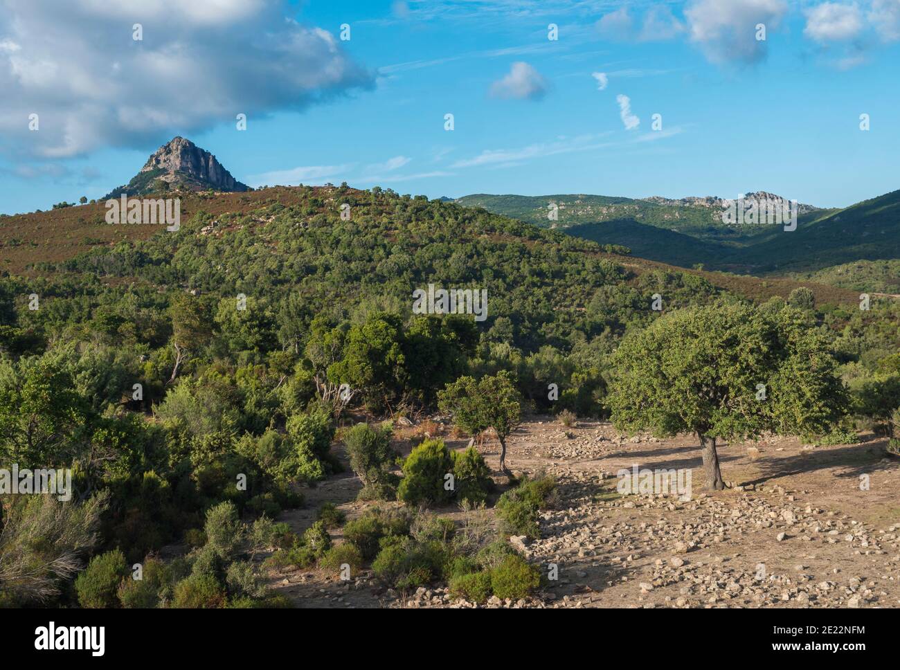 Idyllic rural landscape with View of limestone mountain Monte Oseli ...