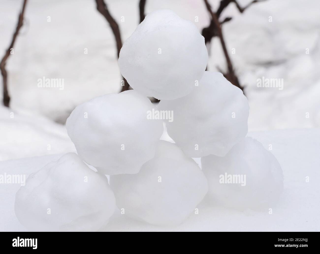 A bunch of Snowballs in snow Stock Photo - Alamy