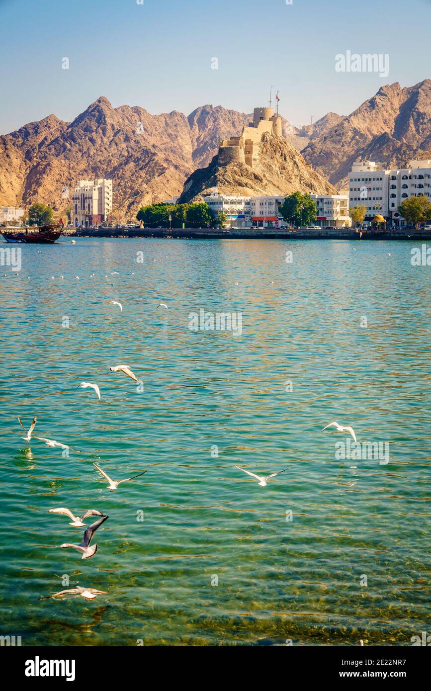 Oman muscat mutrah mutrah port hi-res stock photography and images - Alamy