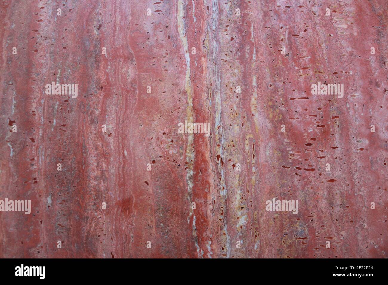 Hunting Dog «Tyrolean Hound» on a meadow Stock Photo - Alamy