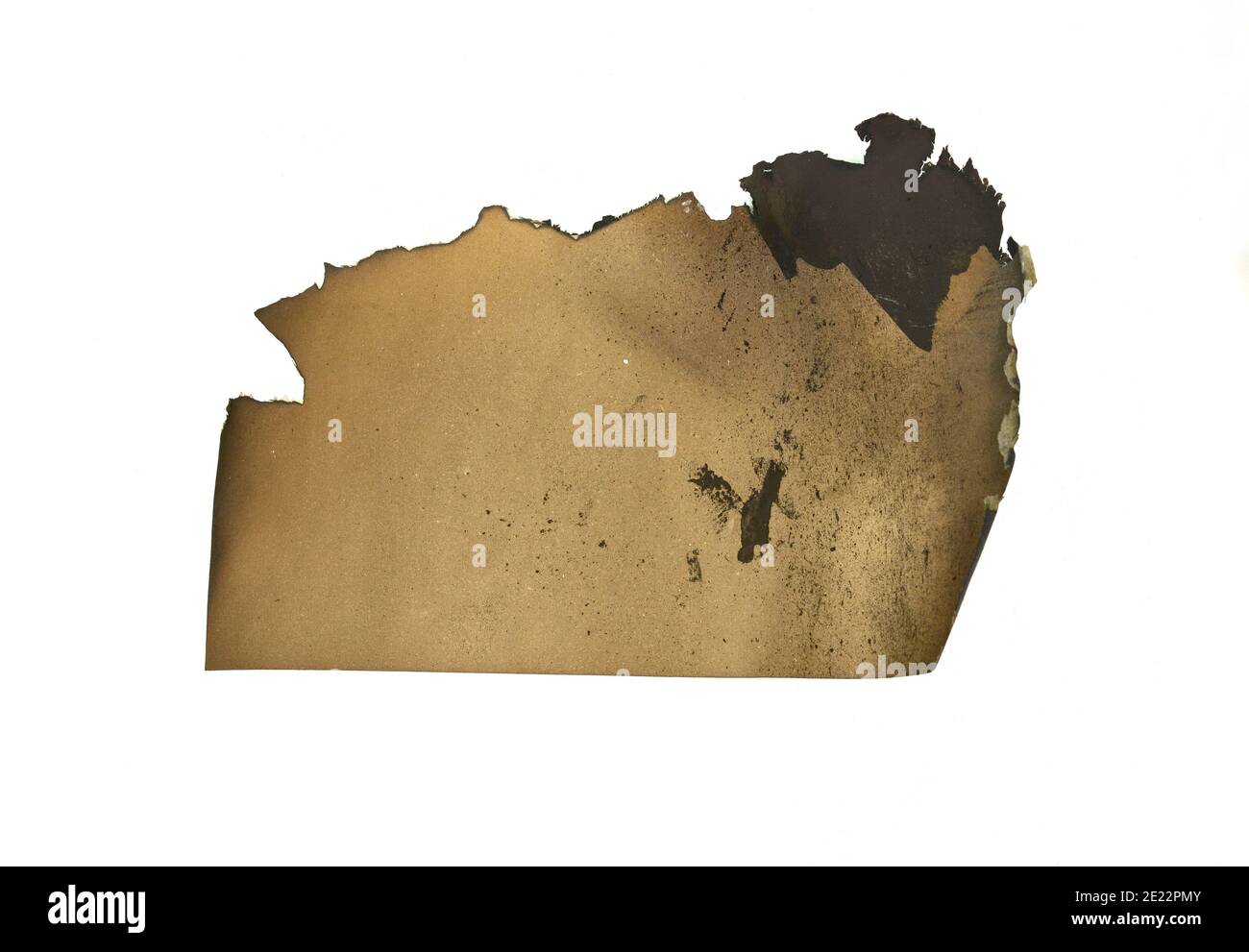 Pieces of burnt paper on a white background. The ashes of the paper ...