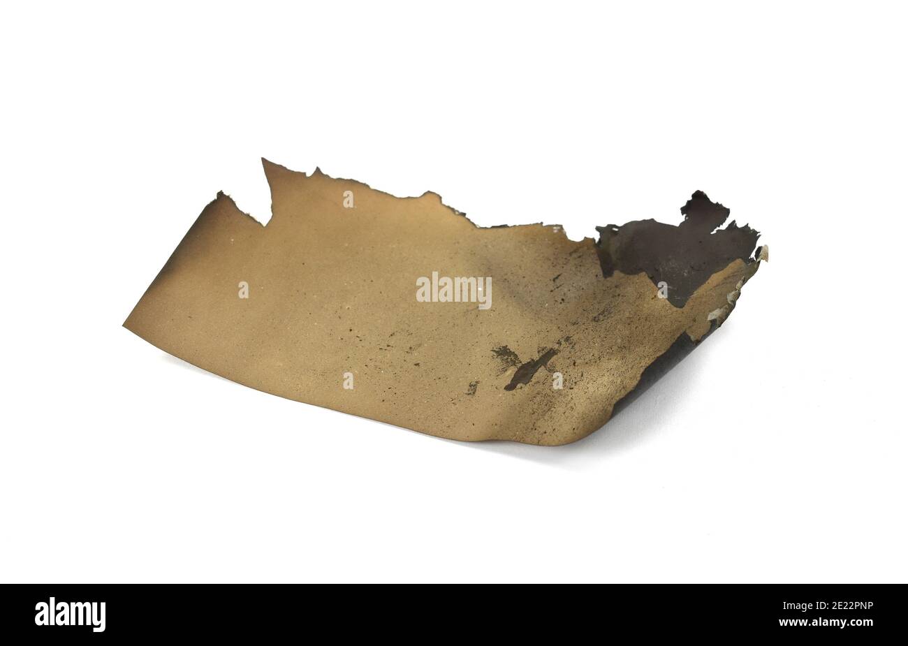 Pieces of burnt paper on a white background. The ashes of the paper ...