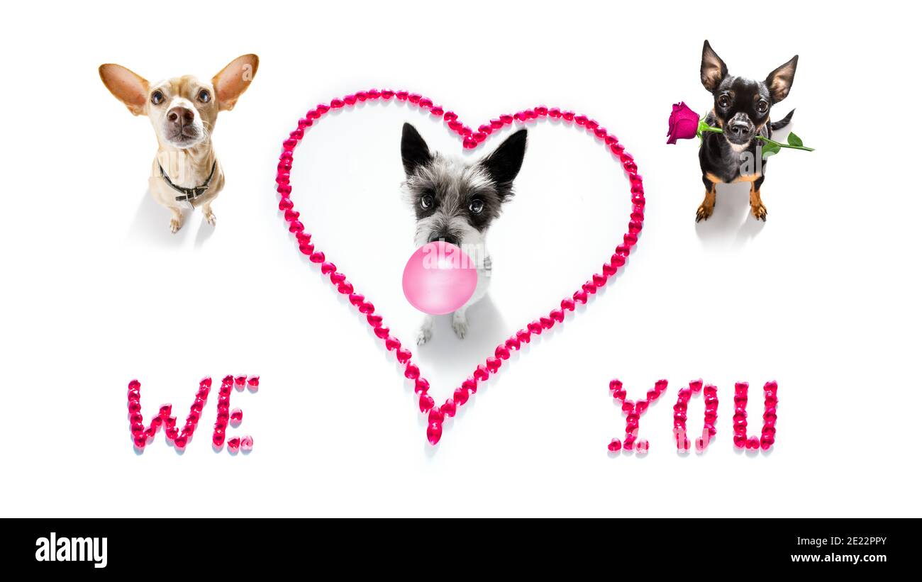 I love my team hi-res stock photography and images - Alamy