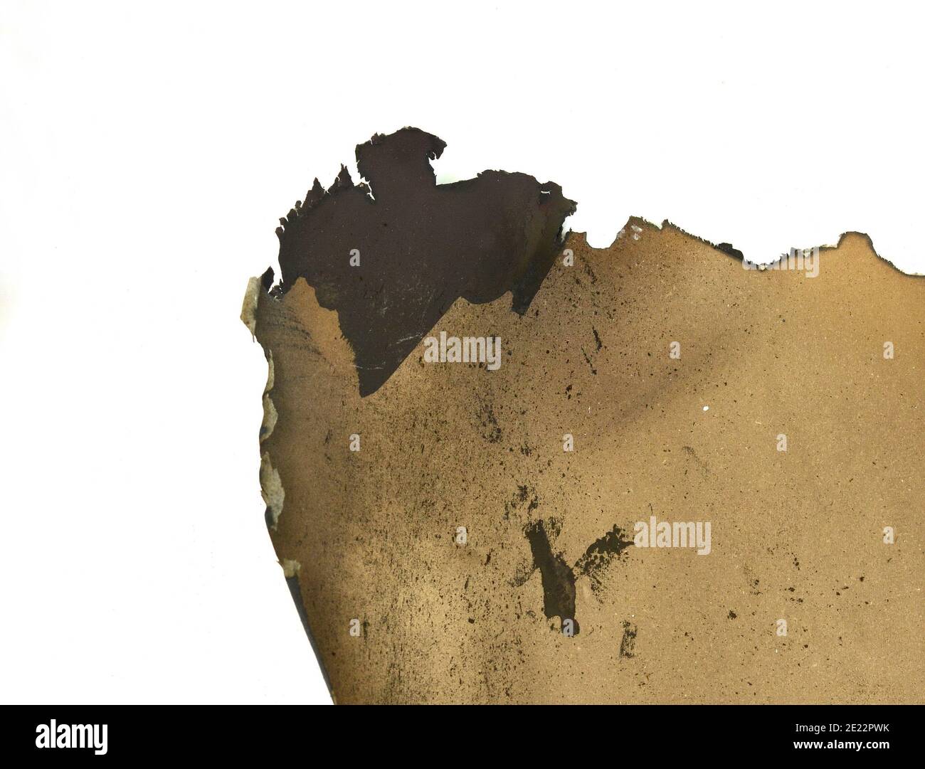 Pieces of burnt paper on a white background. The ashes of the paper ...