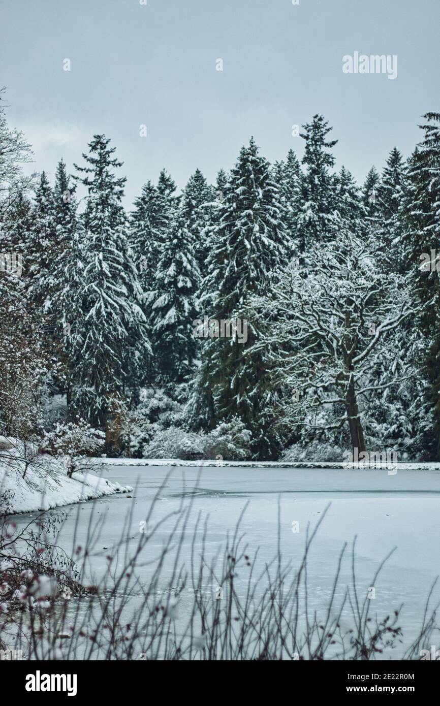 Pruhonice snow hi-res stock photography and images - Alamy