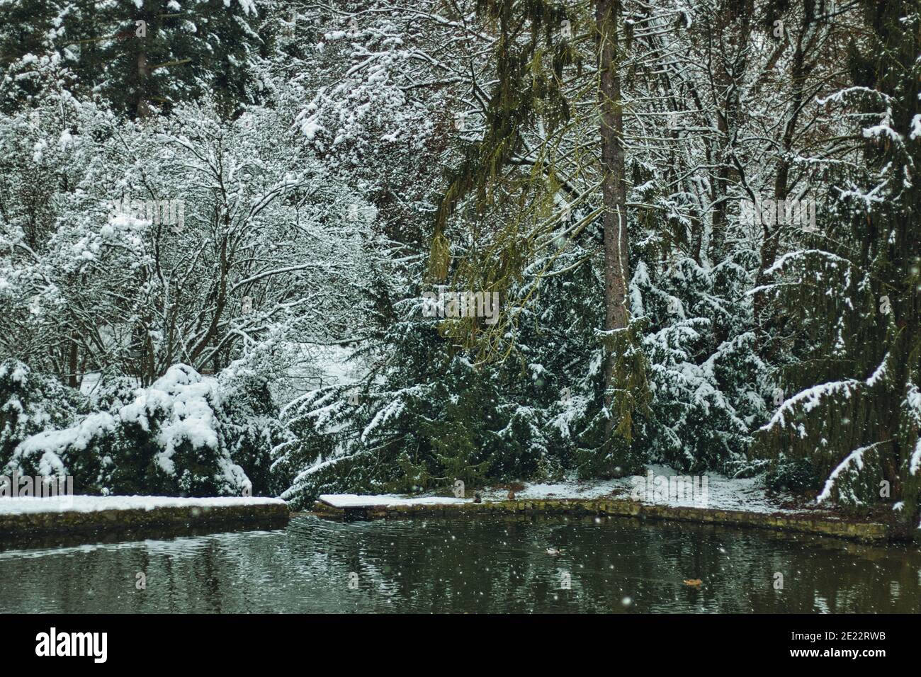 Pruhonice snow hi-res stock photography and images - Alamy