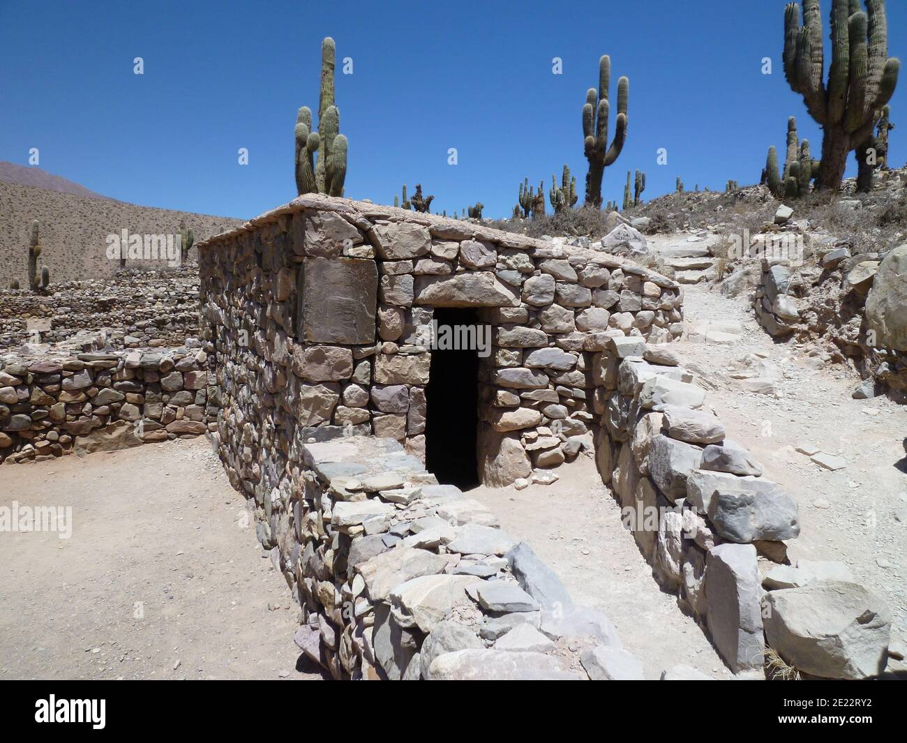 Desert landscape view with a stone-made old structure and Saguaro ...