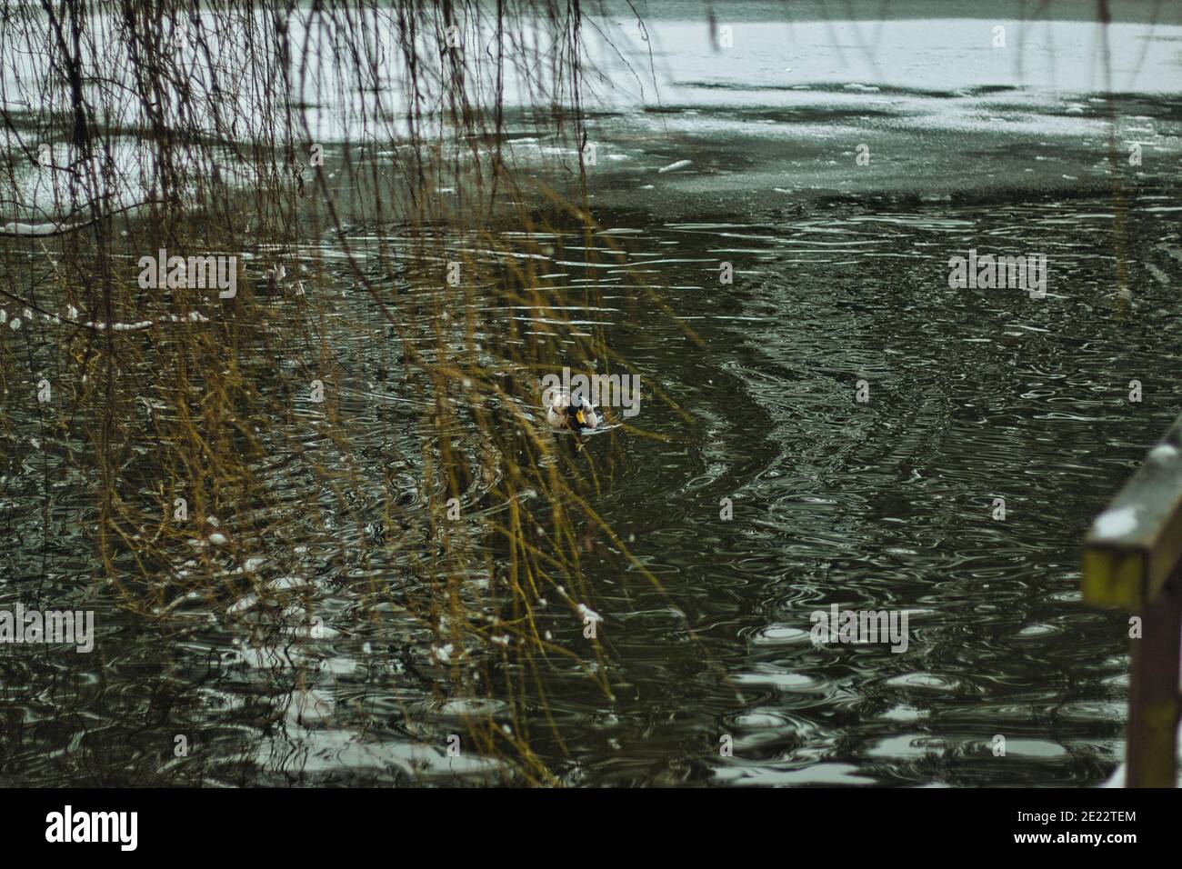 Pruhonice snow hi-res stock photography and images - Alamy