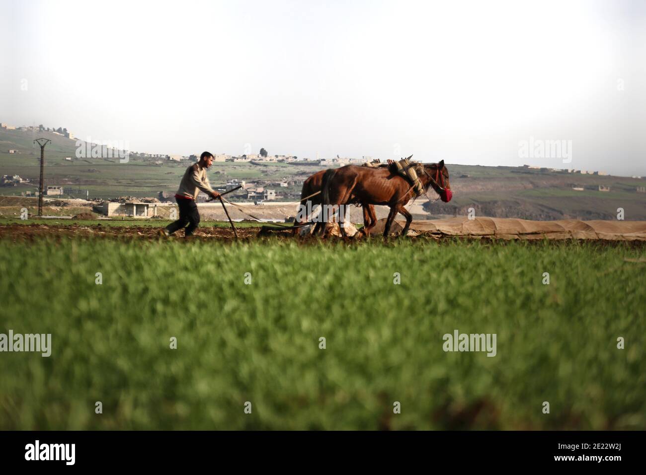 Farmer of syria hi-res stock photography and images - Alamy