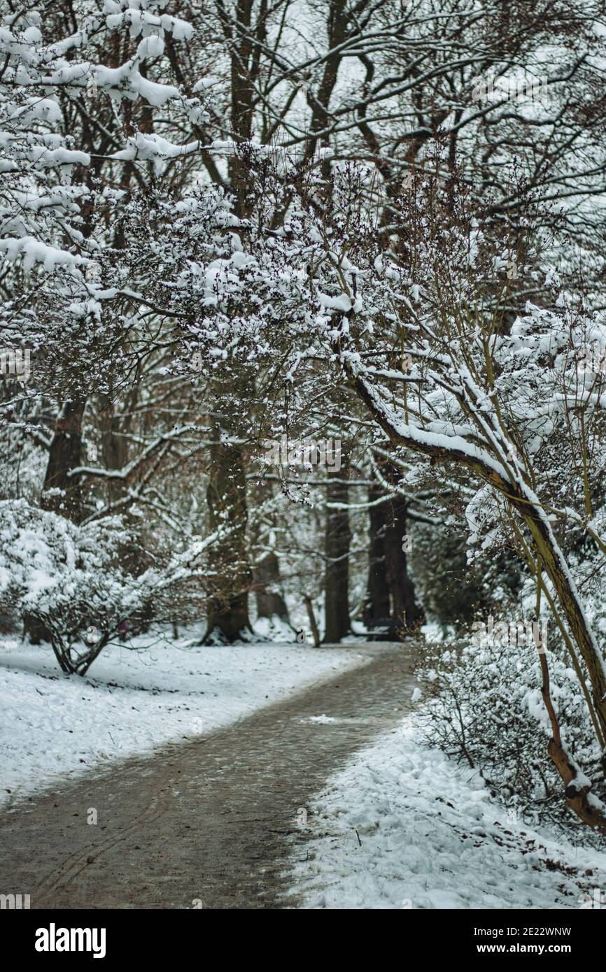 Pruhonice snow hi-res stock photography and images - Alamy