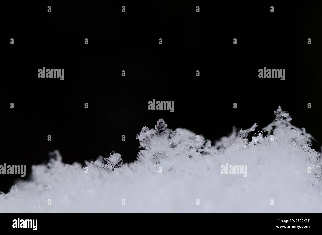 lots of fresh snow crystals with black background Stock Photo - Alamy