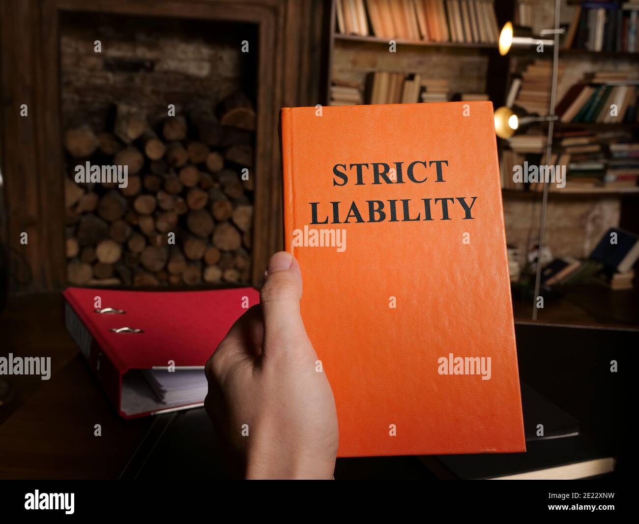 Strict liability rules book in the hand Stock Photo - Alamy