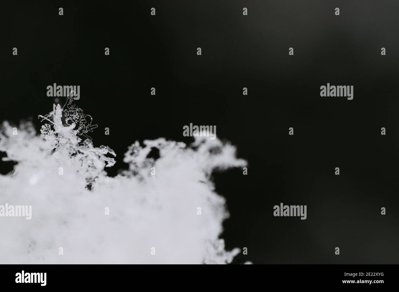 fragile delicate snow crystal with dark background Stock Photo - Alamy