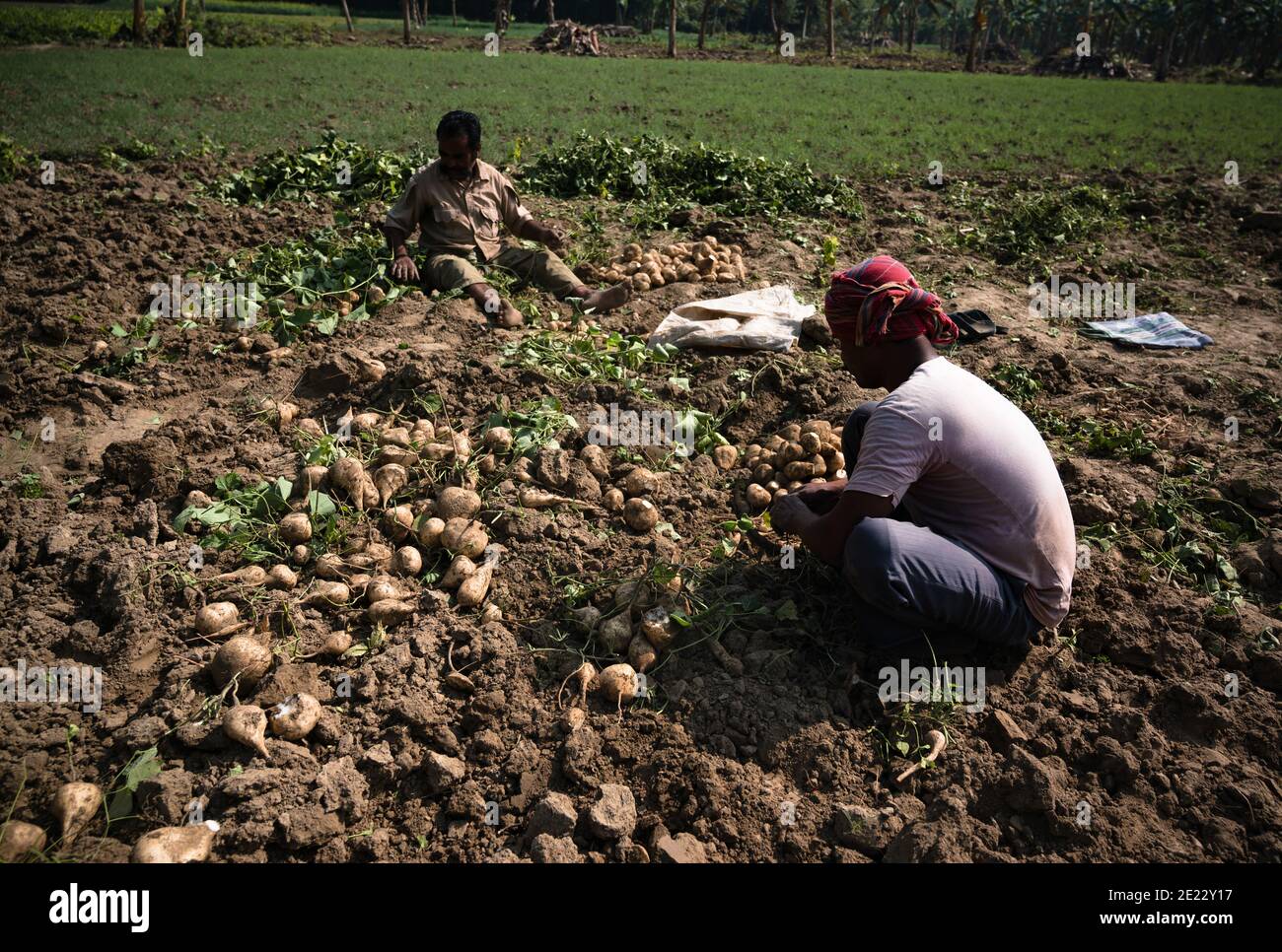Shankalu hi-res stock photography and images - Alamy