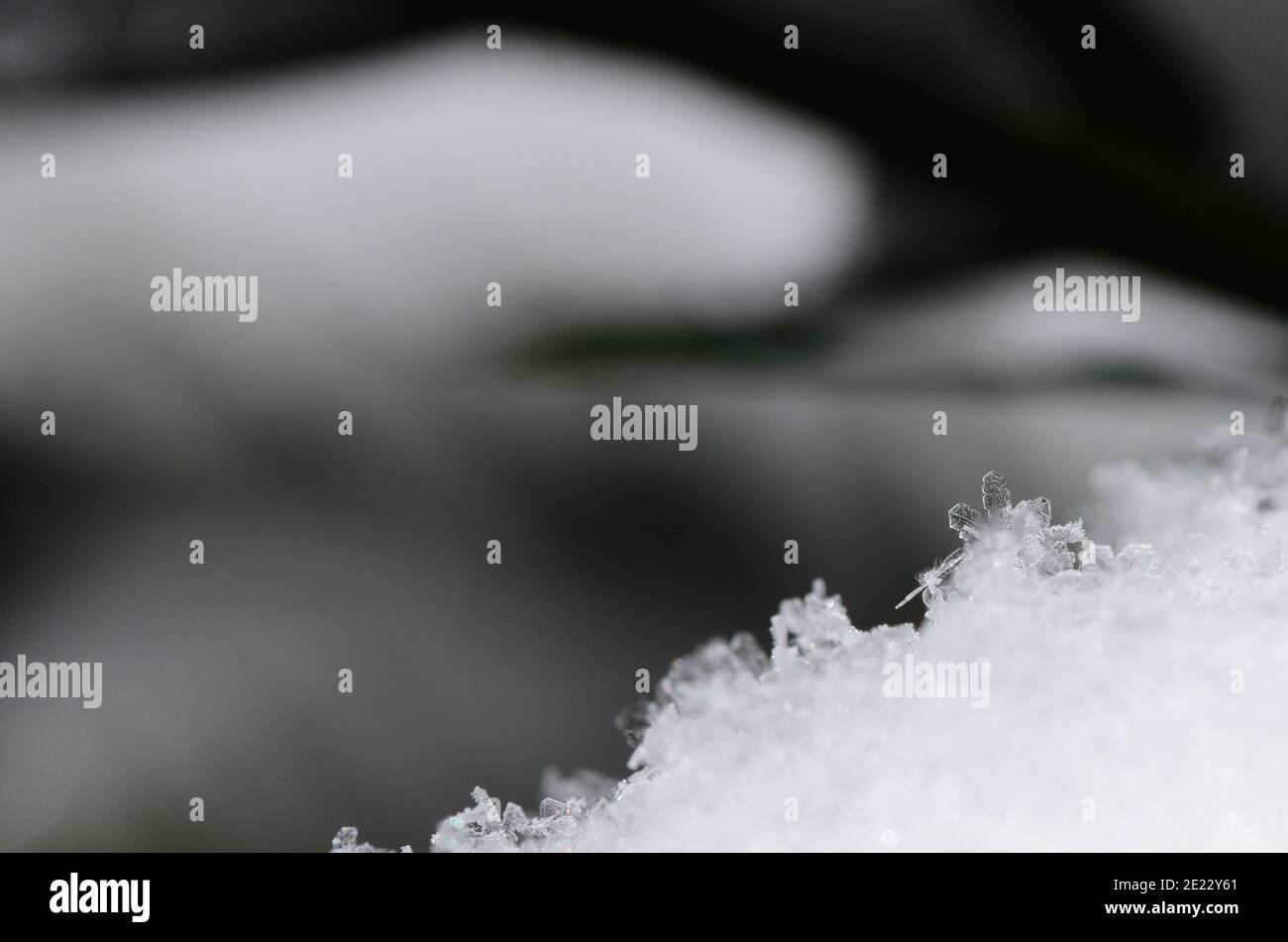 Hidden in the snow hi-res stock photography and images - Alamy