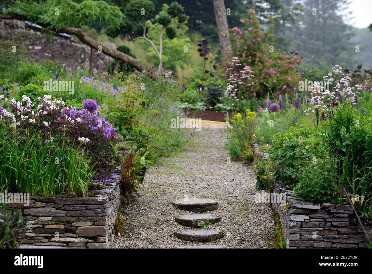June borders hi-res stock photography and images - Alamy