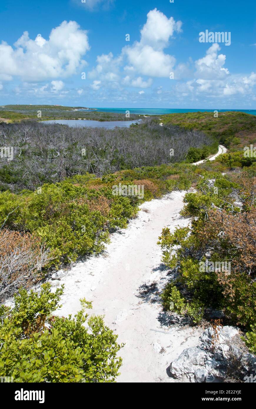 The footpath that leads down to the shore of Grand Turk resort island ...