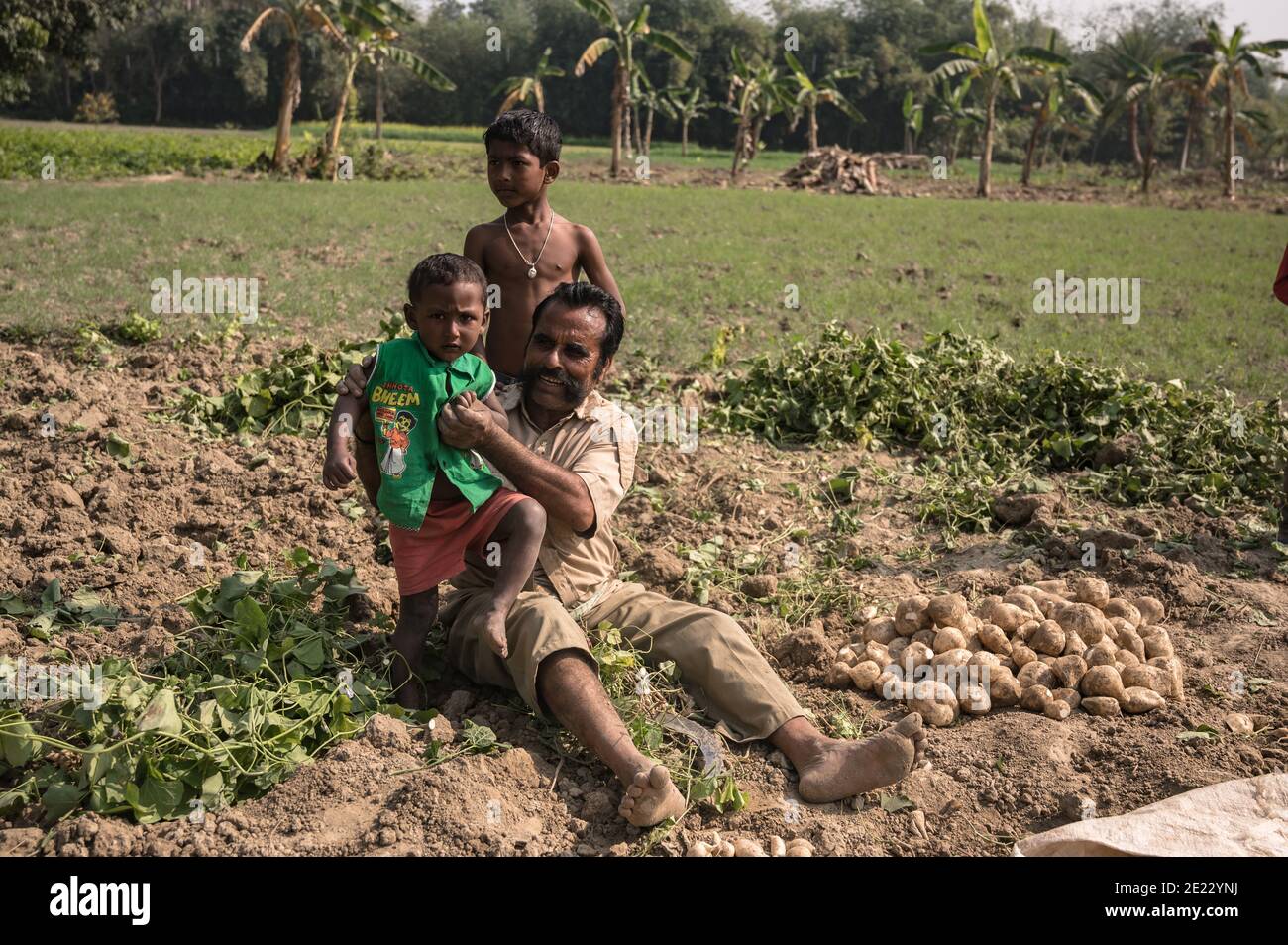 Family Digging Potatoes High Resolution Stock Photography and Images - Alamy
