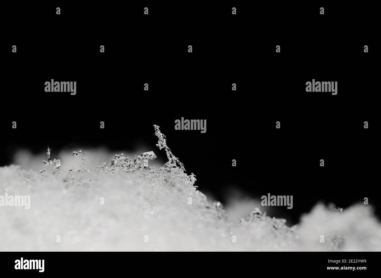 translucent ice crystals in the snow Stock Photo - Alamy