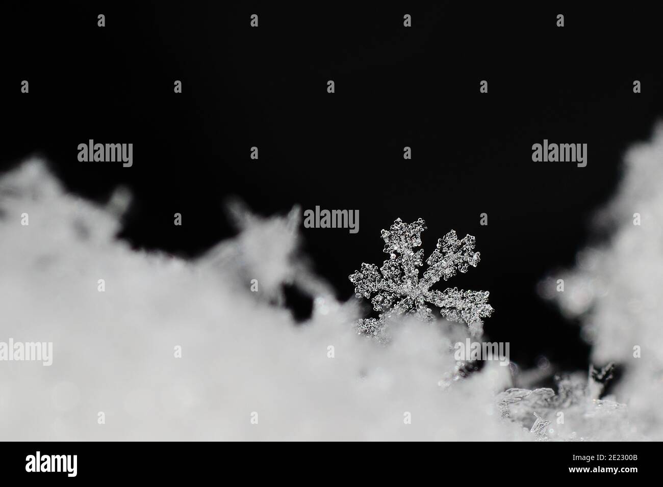 nice big clear snow crystal with black background Stock Photo - Alamy