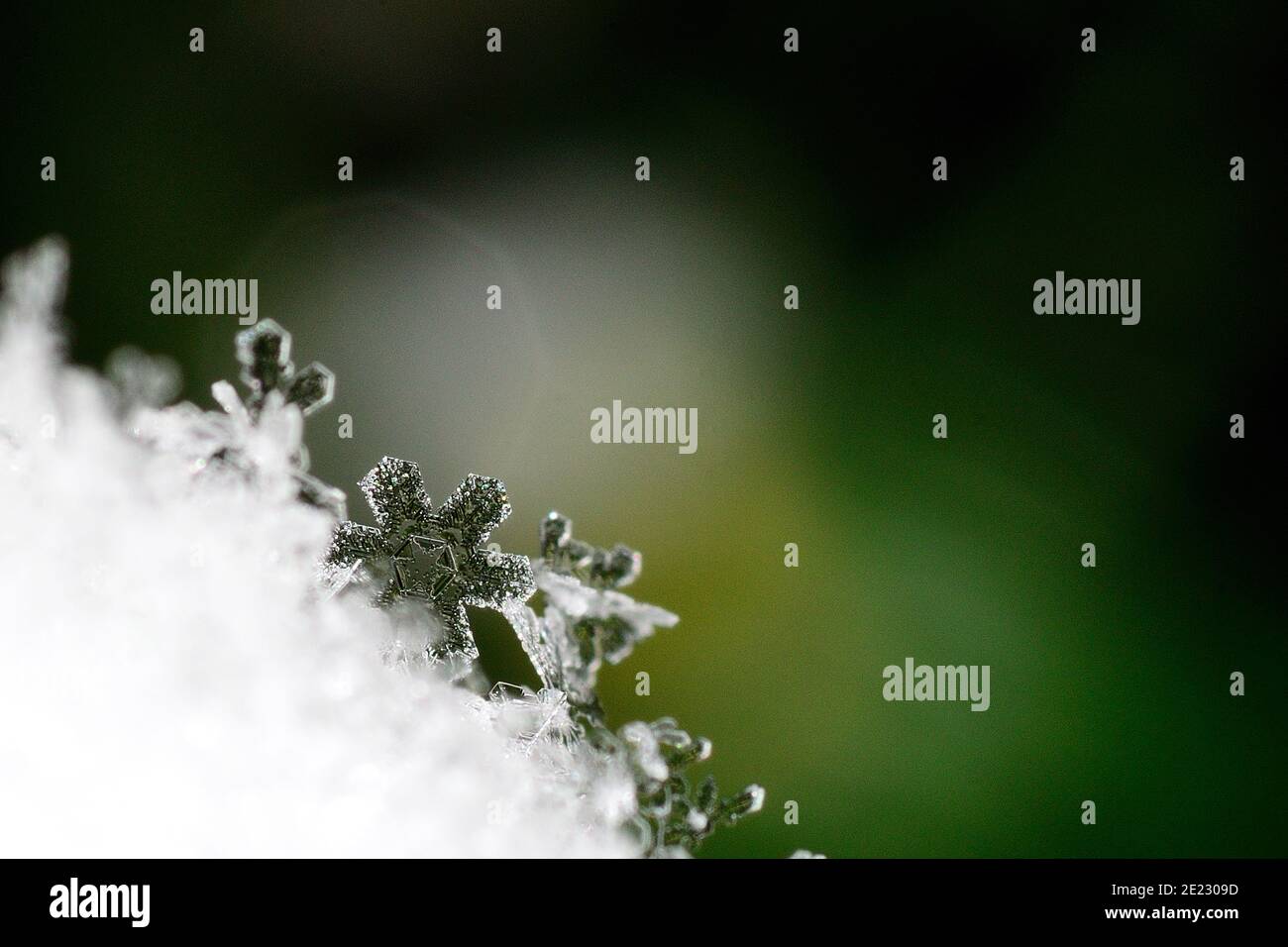 wonderful delicate symmetrical snow crystal macro view Stock Photo - Alamy