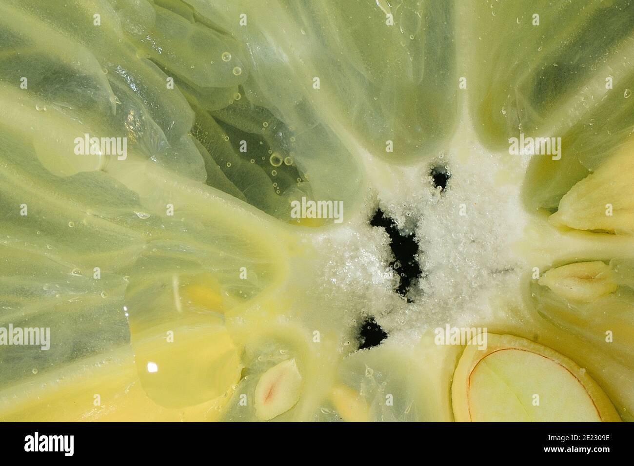 fresh lemon with flesh and seeds in detail view center Stock Photo - Alamy
