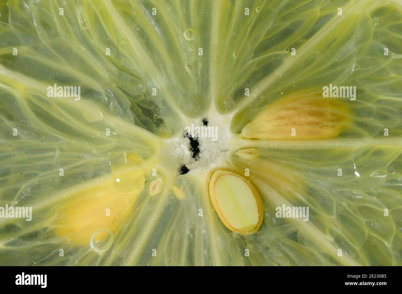 Juicy Lemon Flesh High Resolution Stock Photography and Images - Alamy