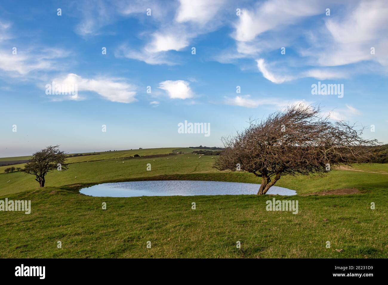 Ditchling Beacon Dew Pond High Resolution Stock Photography and Images ...