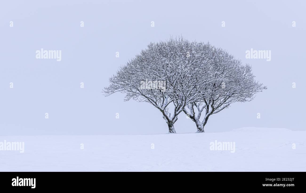 Isolation landscape hi-res stock photography and images - Alamy