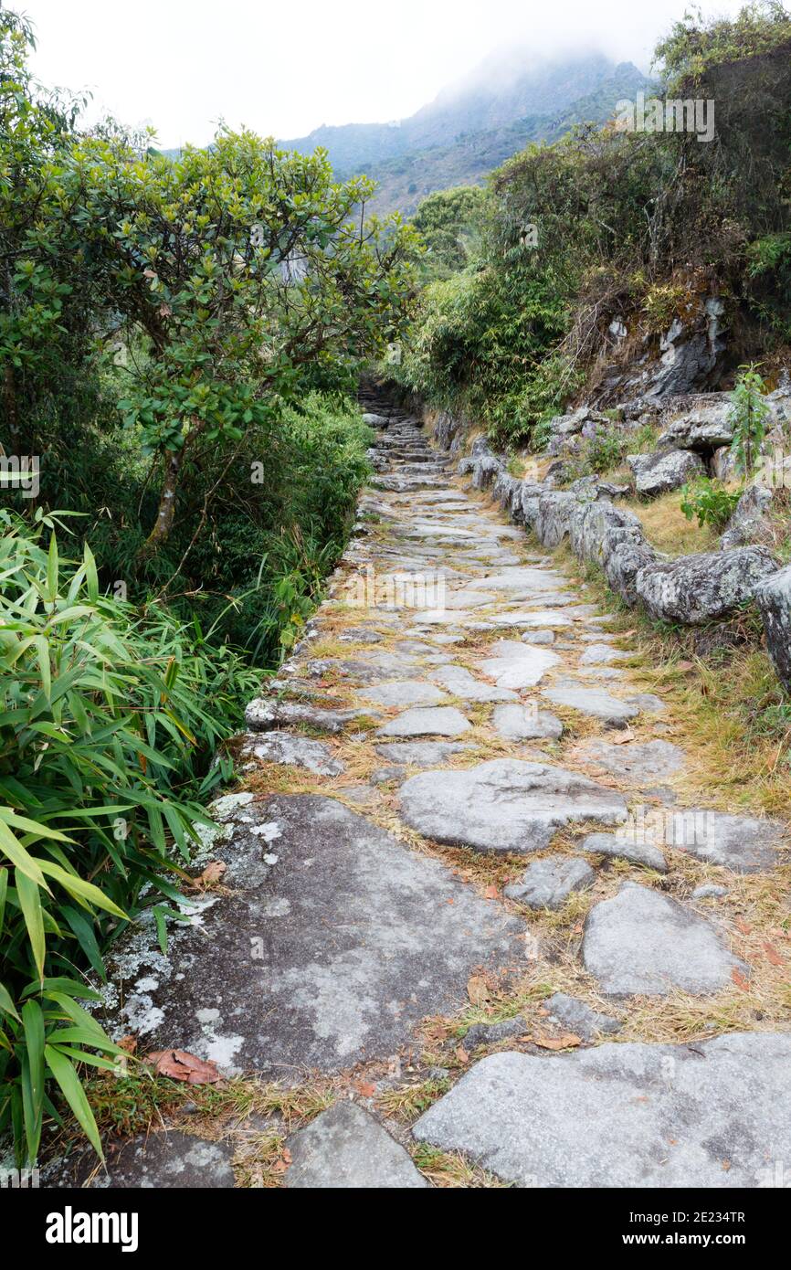 The Inca Trail near the ruins of Machu Picchu, a UNESCO World Heritage ...