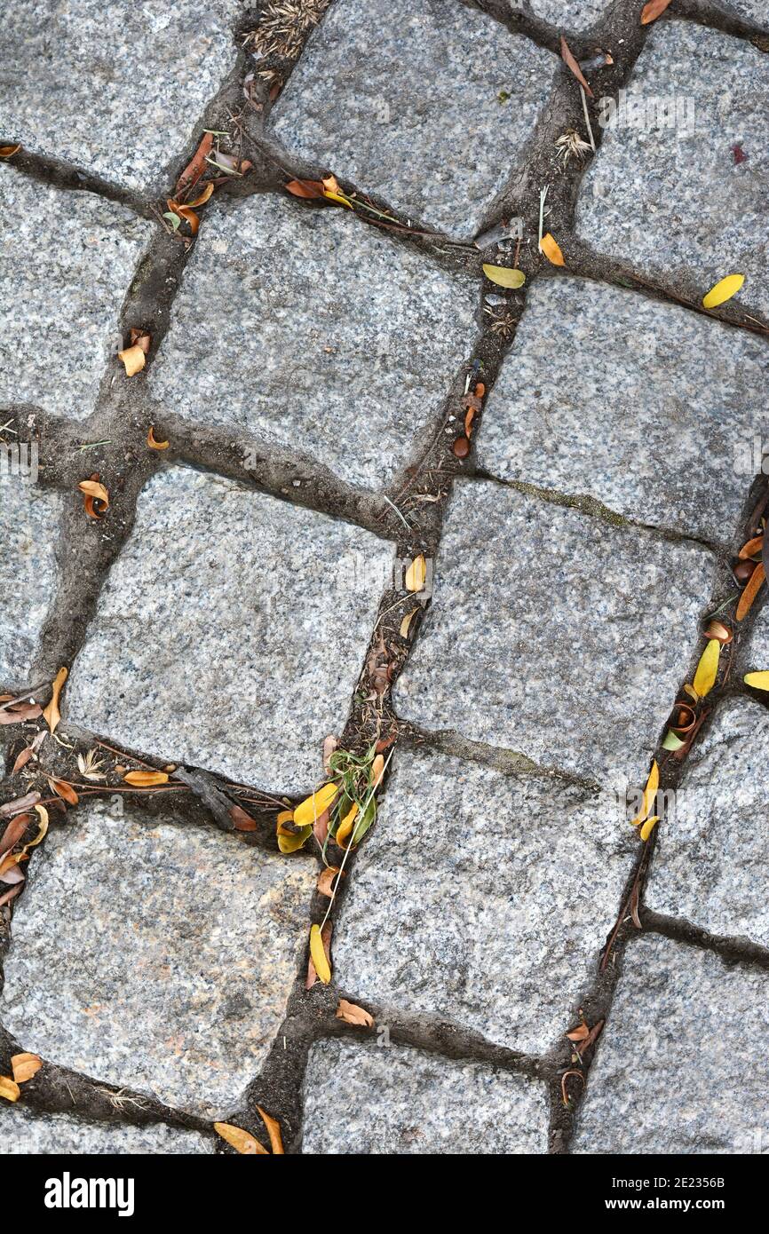 Close up outdoor view of the surface of a paved road. Pattern of grey ...