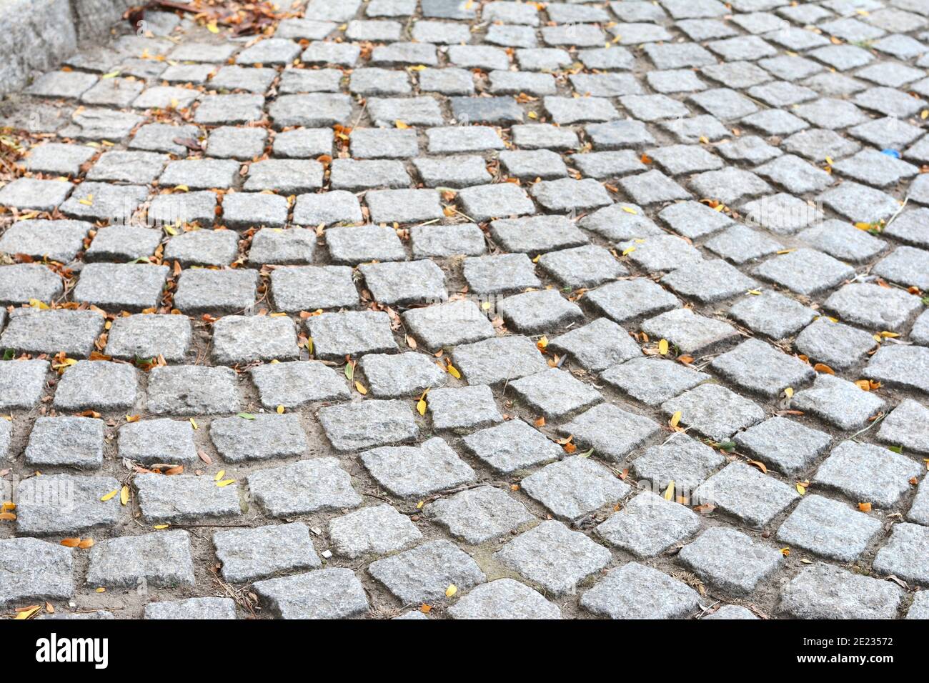 Close up outdoor view of the surface of a paved road. Pattern of grey ...
