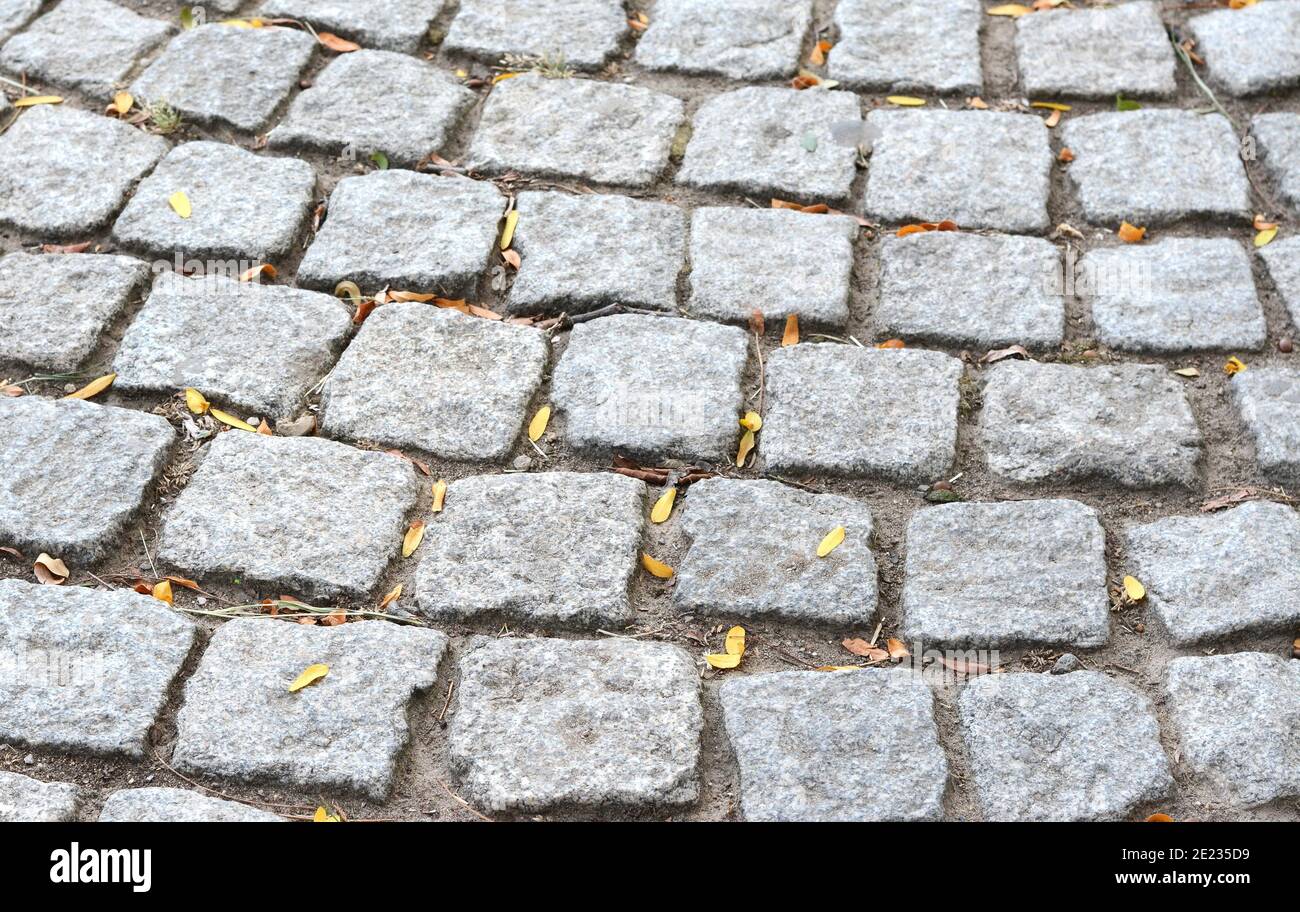 Close up outdoor view of the surface of a paved road. Pattern of grey ...