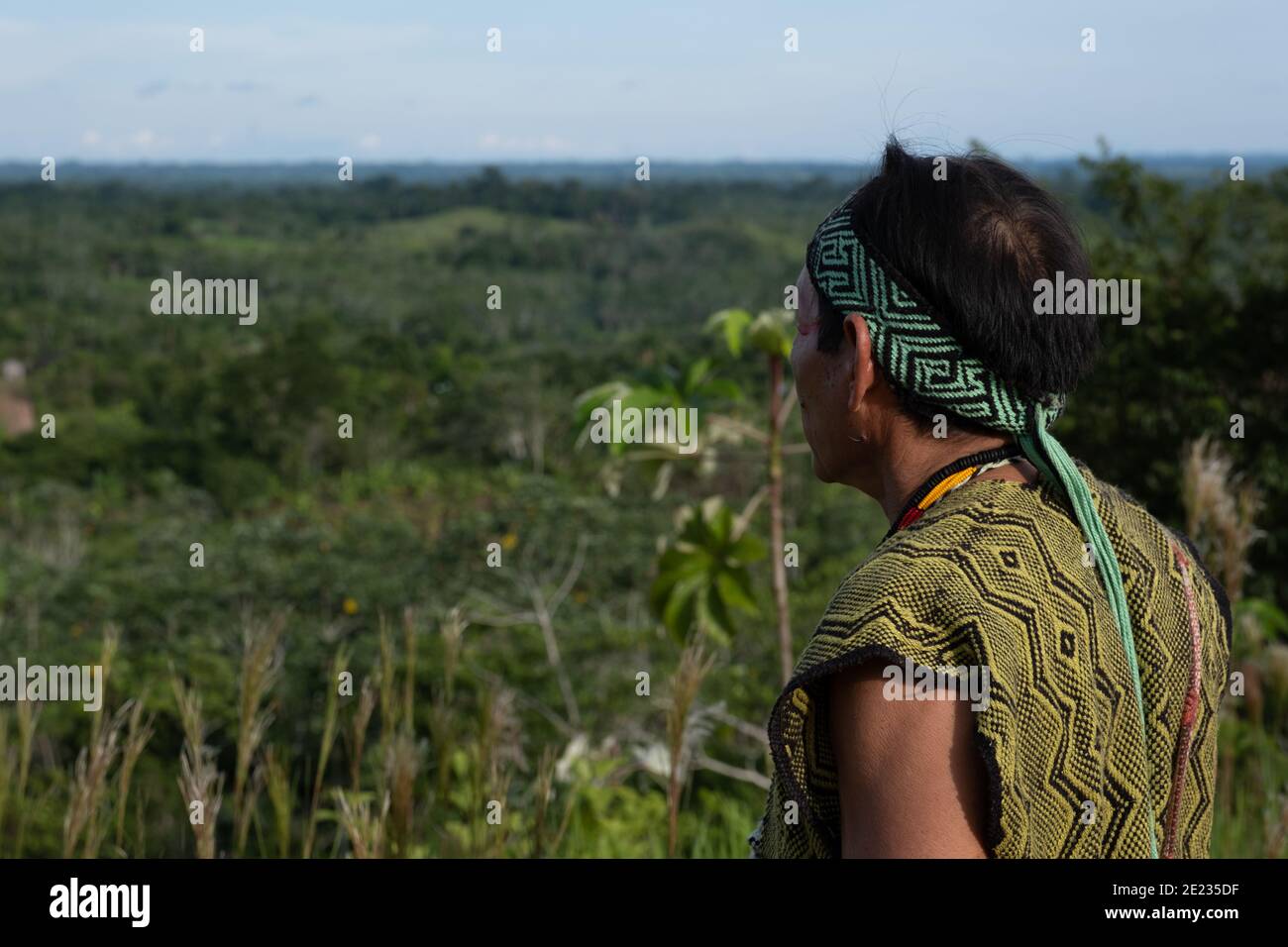 A Huni Kui shaman looks out over the Amazon Rainforest, Acre State ...