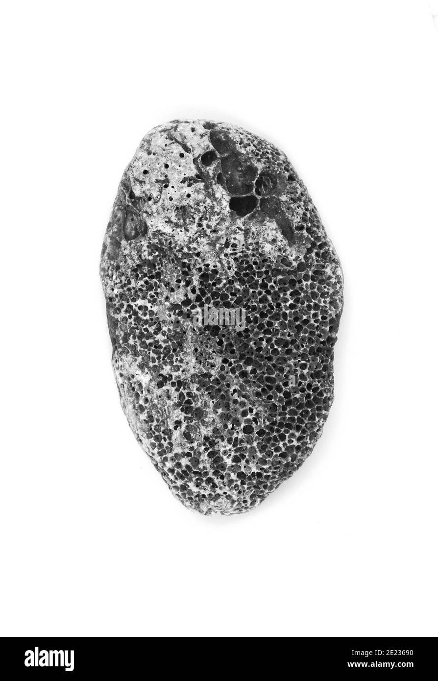 Volcanic stone isolated on white background Stock Photo - Alamy
