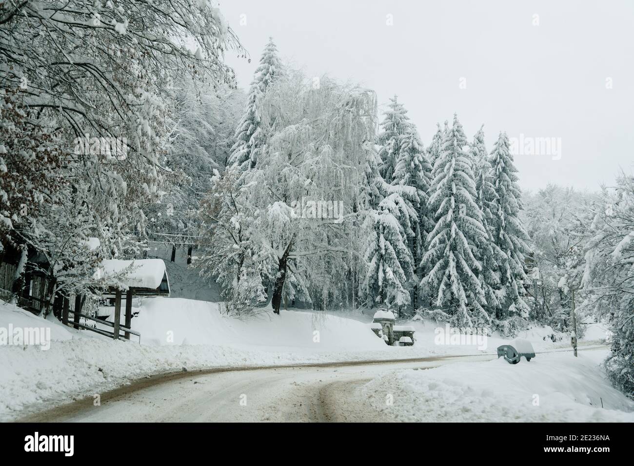 Jelica mountain hi-res stock photography and images - Alamy