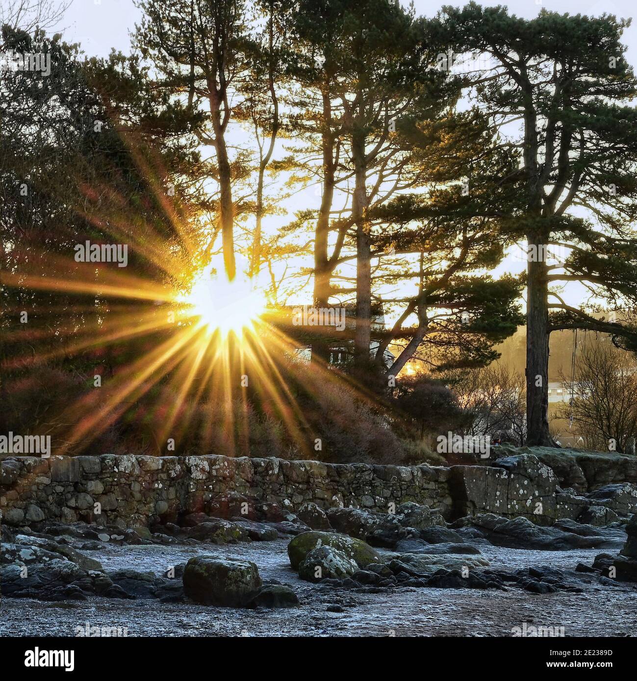 Sunstar over frozen beach Stock Photo - Alamy